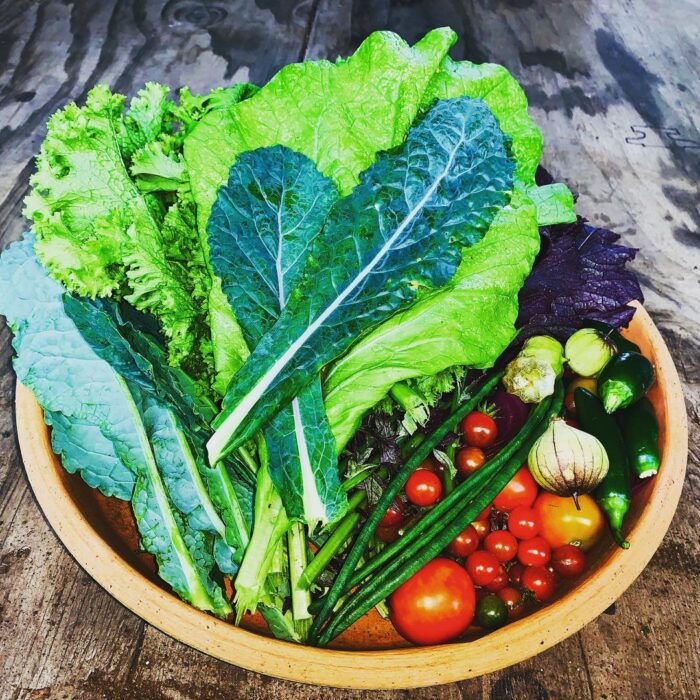 Permaculture Principle #3: Obtain A Yield